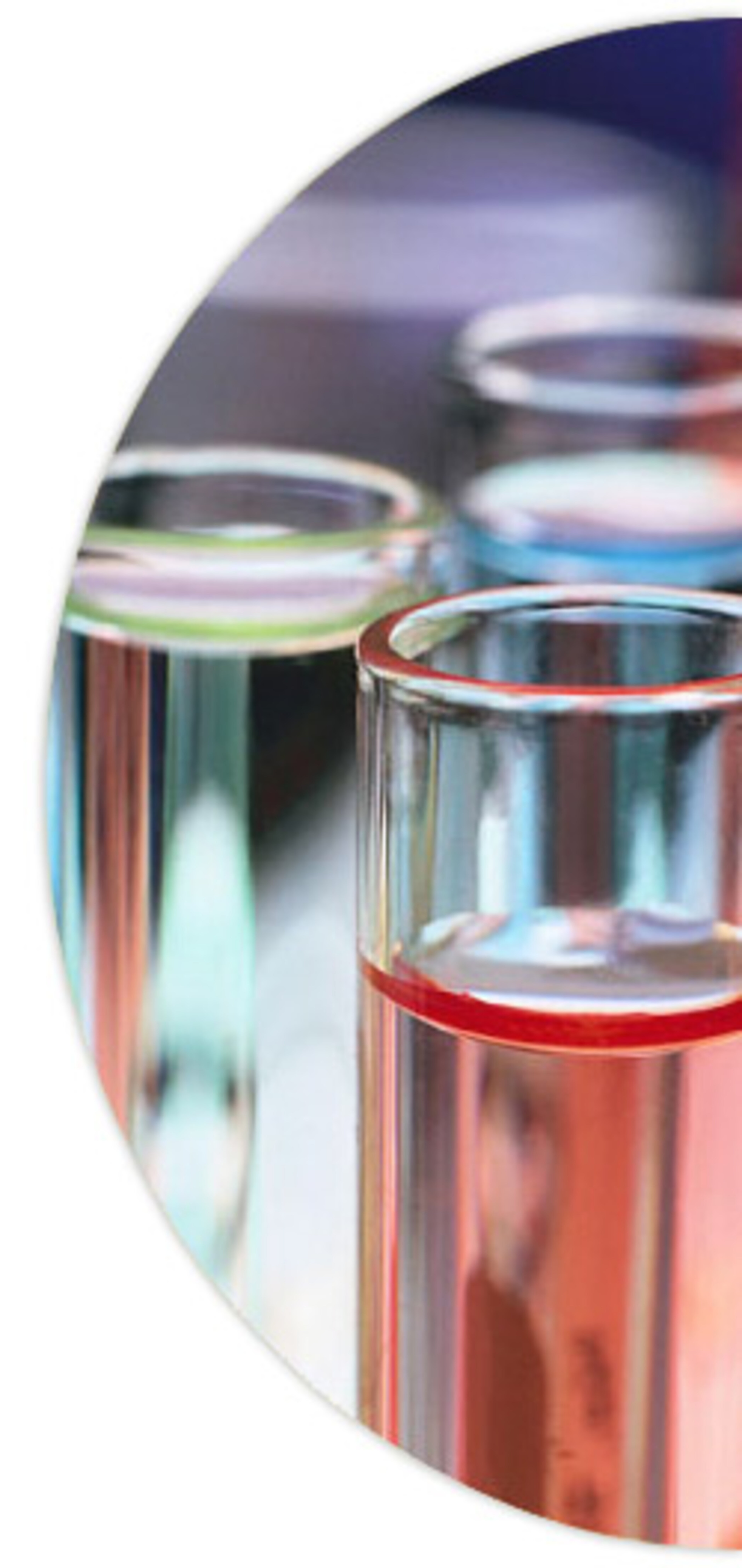 Protocols | Bin Yu Laboratory | Nebraska